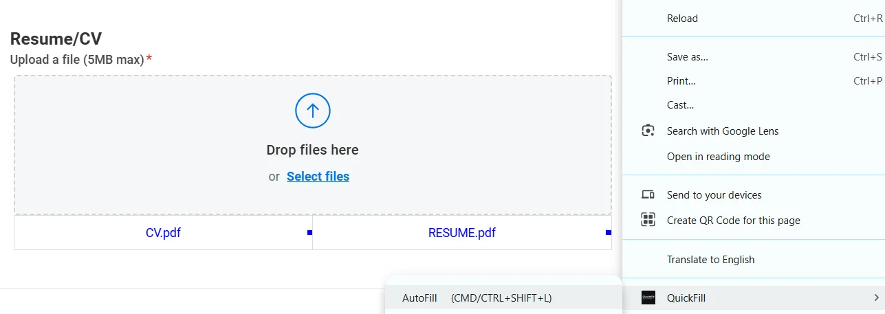QuickFill – File Fill Automation